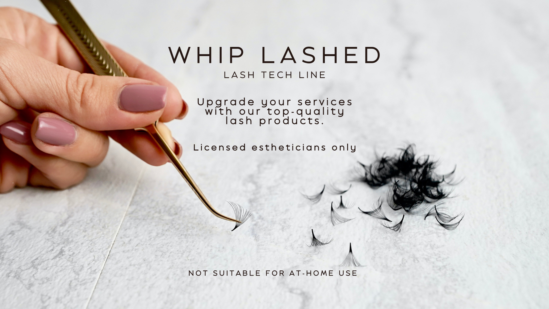 Whip Lashed Co